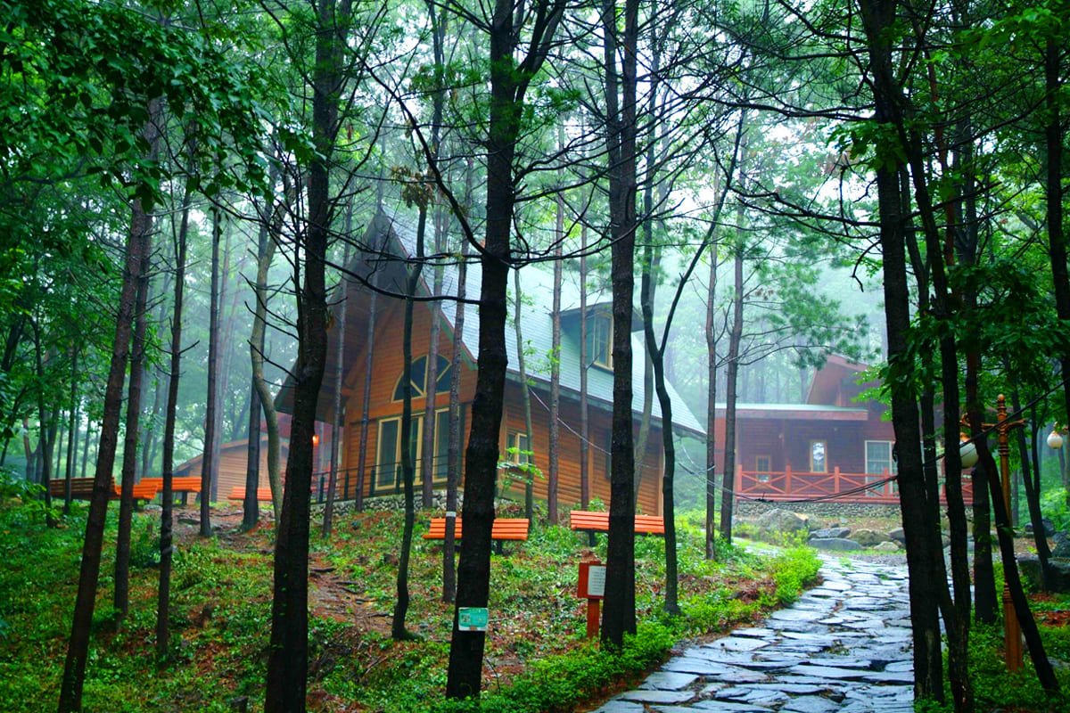 "바다와 섬, 그리고 산까지 한번에!"... 휴가철에 가기 좋은 국내 여름 여행지