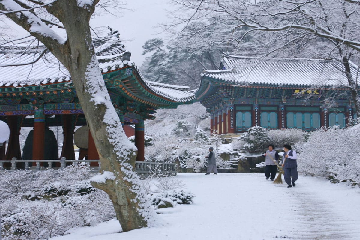 "여긴 한 번 가면 중독돼요" 겨울철에 방문하기 좋은 국내 여행지