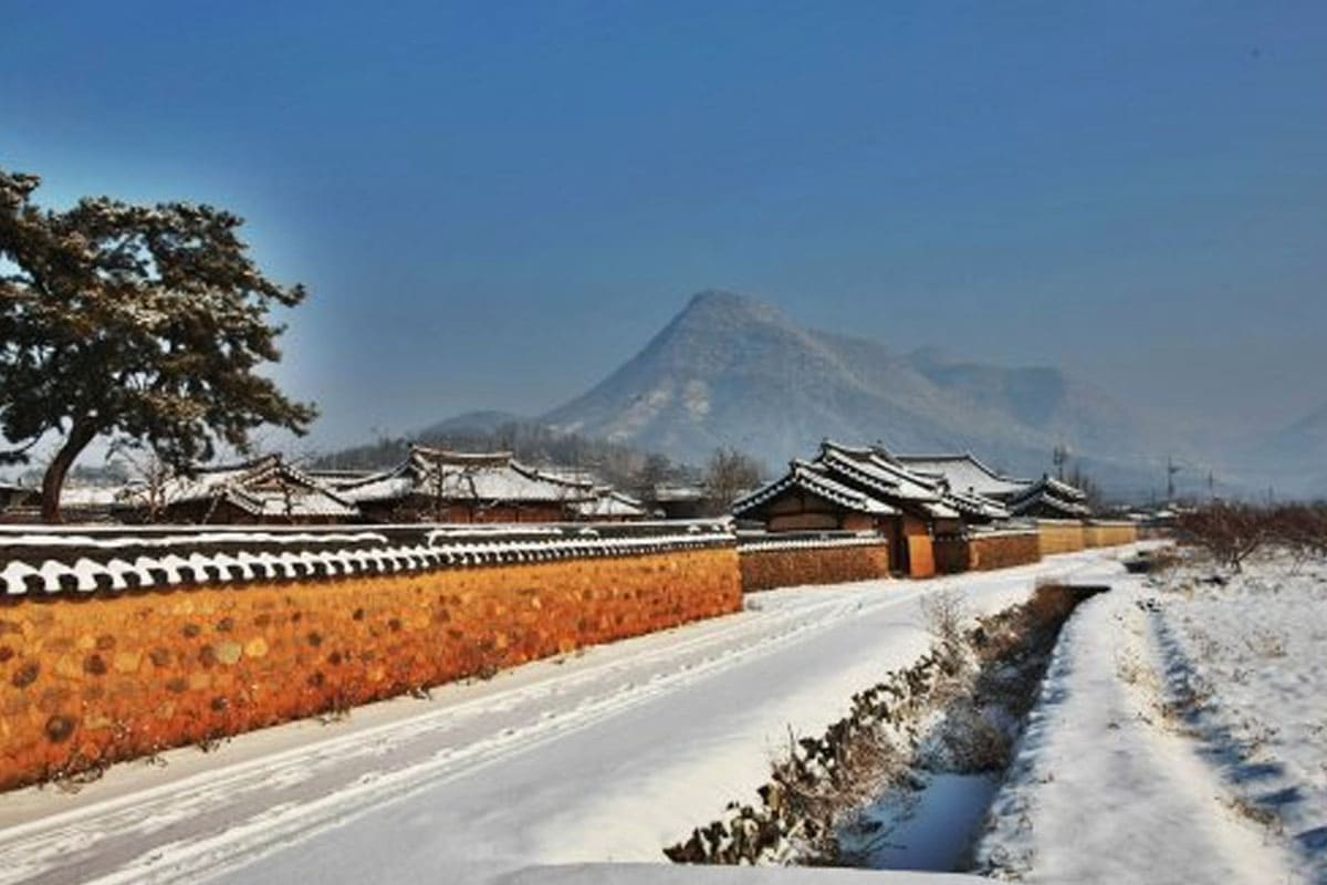 "여긴 한 번 가면 중독돼요" 겨울철에 방문하기 좋은 국내 여행지