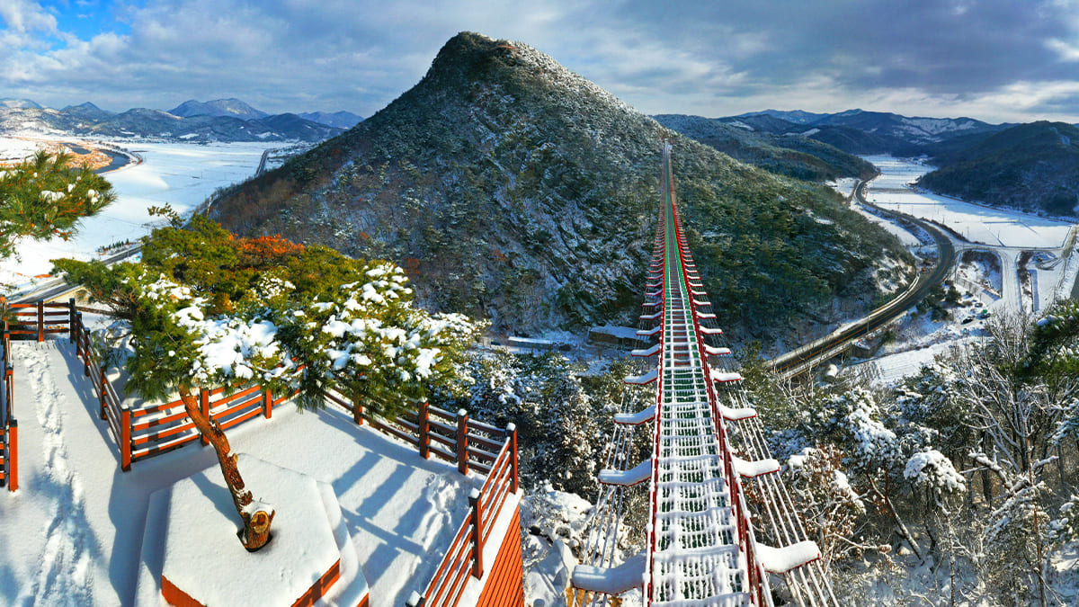 "연 50만 명이 왜 몰리나 갔더니"... 전부 무료인 270m 국내 최장급 트레킹 코스