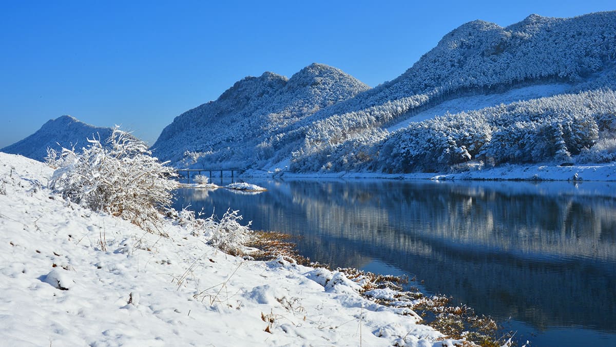 "연 50만 명이 왜 몰리나 갔더니"... 전부 무료인 270m 국내 최장급 트레킹 코스
