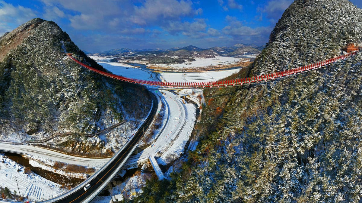 "연 50만 명이 왜 몰리나 갔더니"... 전부 무료인 270m 국내 최장급 트레킹 코스