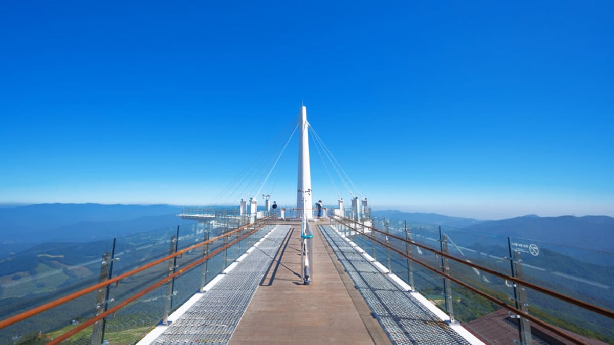 "단 18분 만에 해발 1,458m 올랐습니다"... 국내 최고 높이 절경 쉽게 감상하는 곳