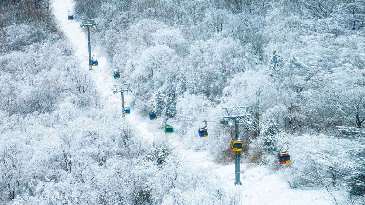 "단 18분 만에 해발 1,458m 올랐습니다"... 국내 최고 높이 절경 쉽게 감상하는 곳