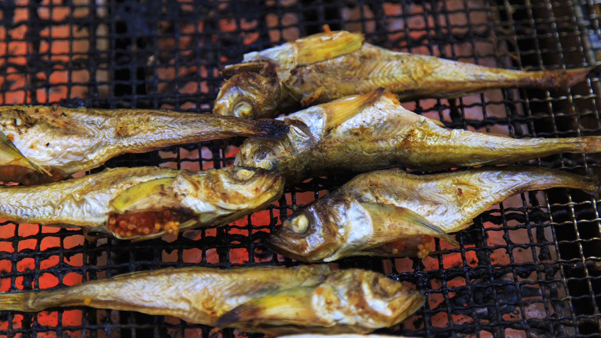 "전주 대비 어획량 98% 급증"... 동해안서 251톤 떼로 잡혀 산더미 이룬 '겨울 별미'