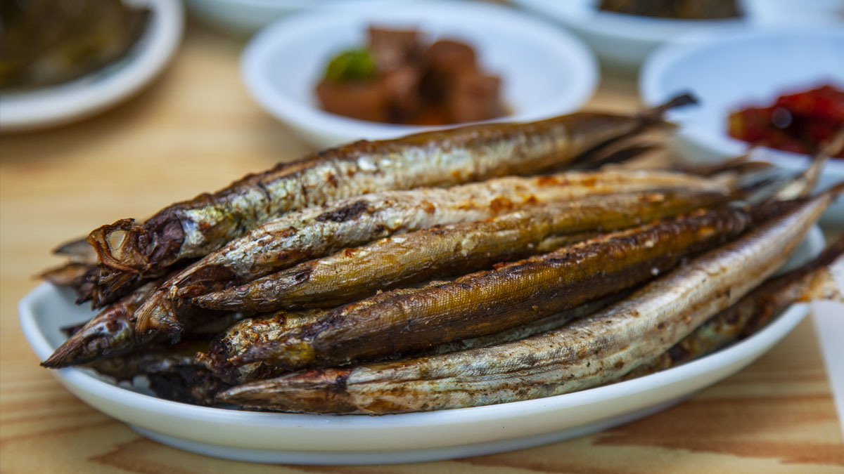 "전주 대비 어획량 98% 급증"... 동해안서 251톤 떼로 잡혀 산더미 이룬 '겨울 별미'