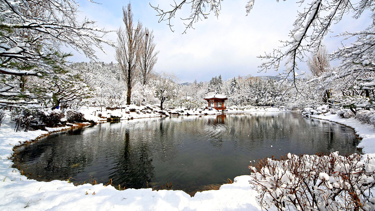 “CNN도 인정한 비경인데 왜 다들 모르지?”… 무료라는 게 믿기지 않는 겨울 명소