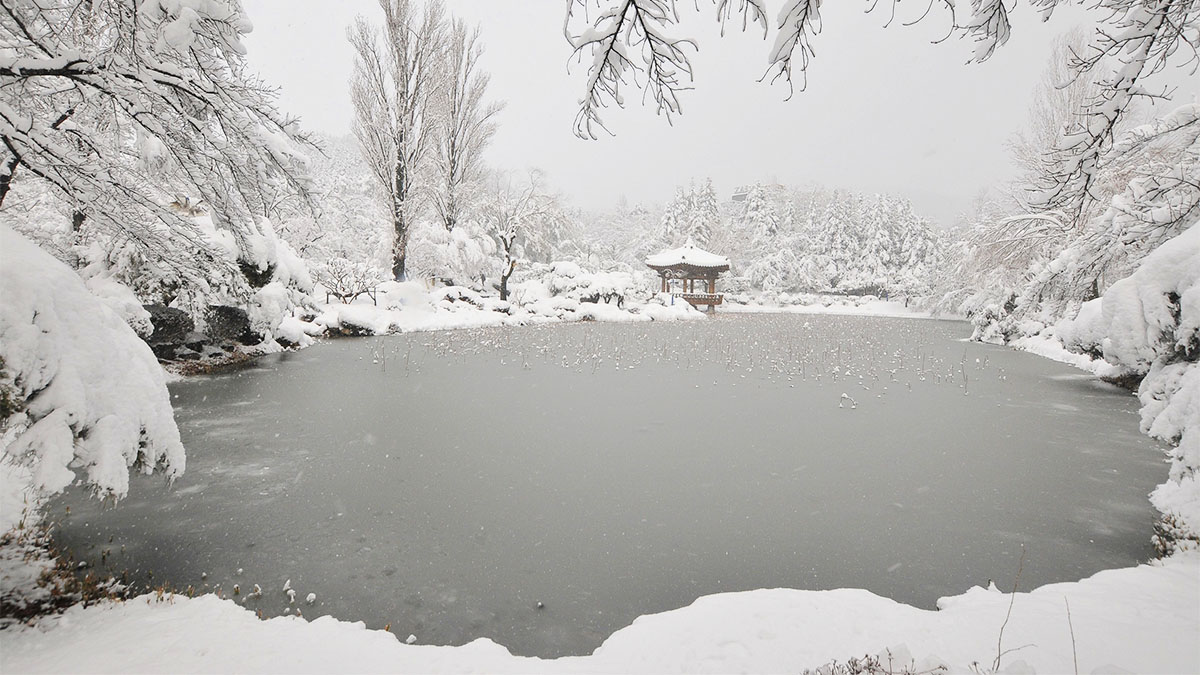 “CNN도 인정한 비경인데 왜 다들 모르지?”… 무료라는 게 믿기지 않는 겨울 명소