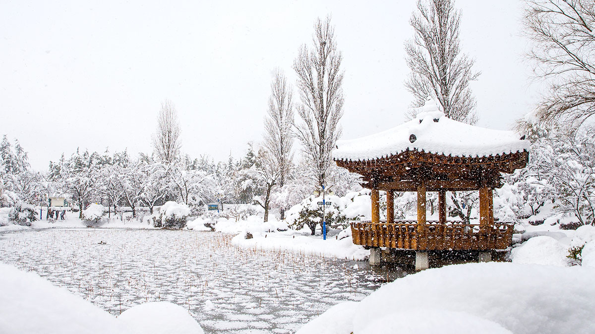 “CNN도 인정한 비경인데 왜 다들 모르지?”… 무료라는 게 믿기지 않는 겨울 명소