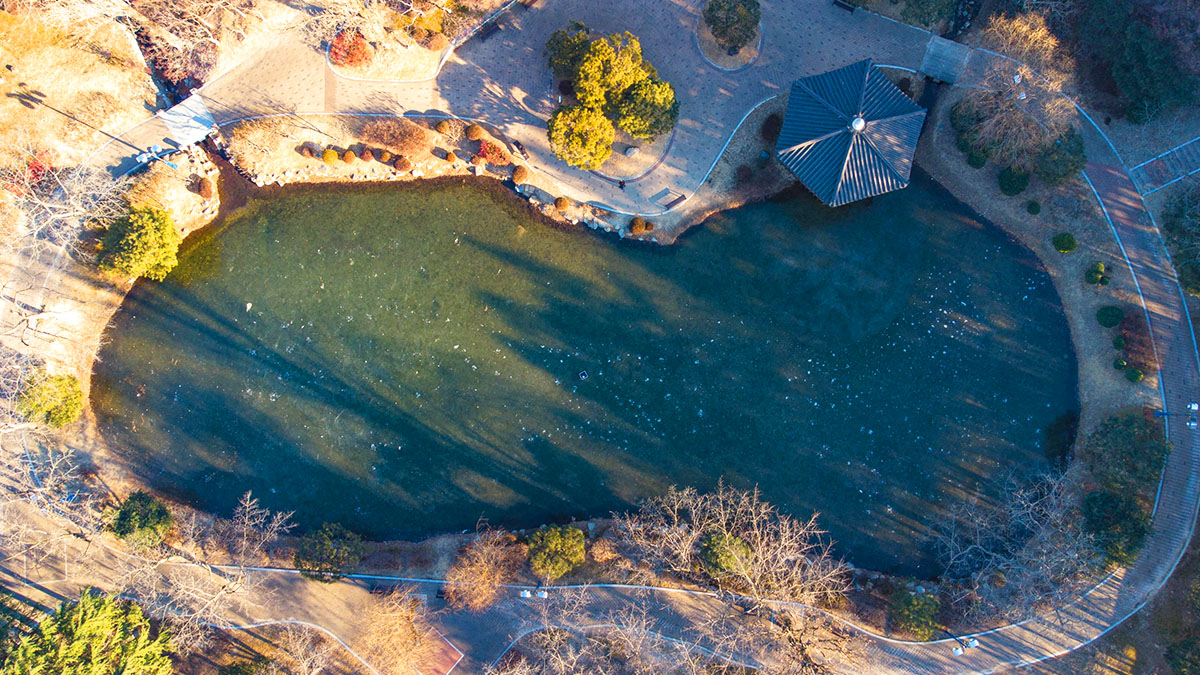 “CNN도 인정한 비경인데 왜 다들 모르지?”… 무료라는 게 믿기지 않는 겨울 명소