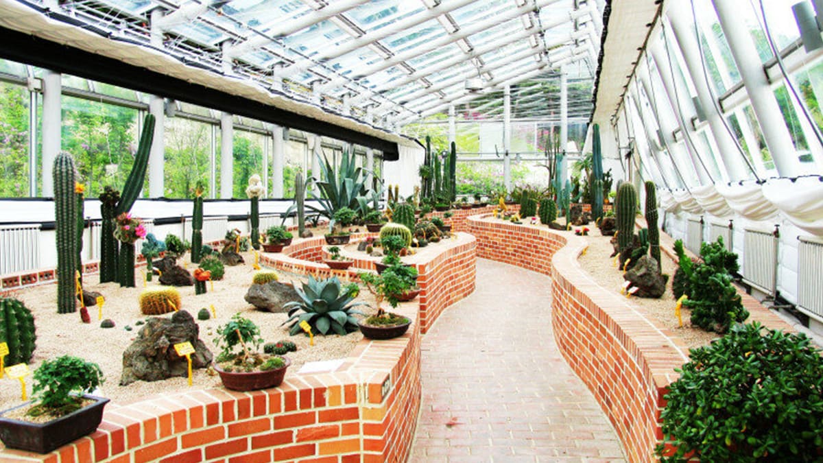 "39만 평 숲이 입장료 2,000원이라니"... 전국 160개 중 우수 기관 선정된 힐링 명소